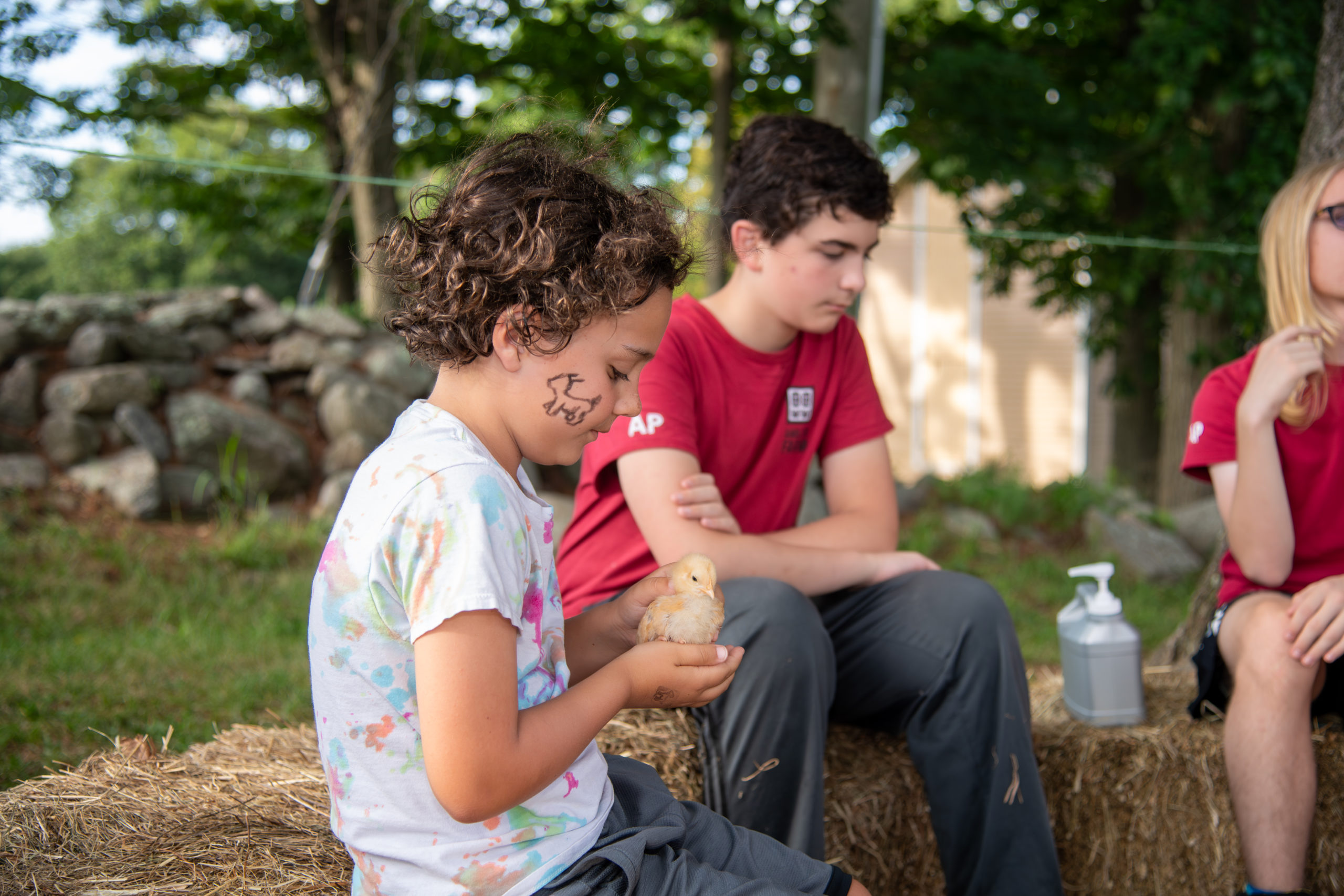 Ambler Farm – Red Barn Live – Courtesy Justin Baiad Photography